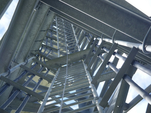 Vertical ladder fall protection Wellington, Waikato