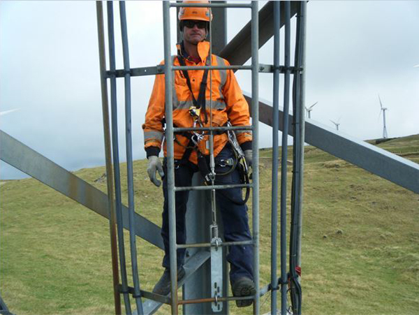 Vertical ladder fall protection Wellington, Waikato
